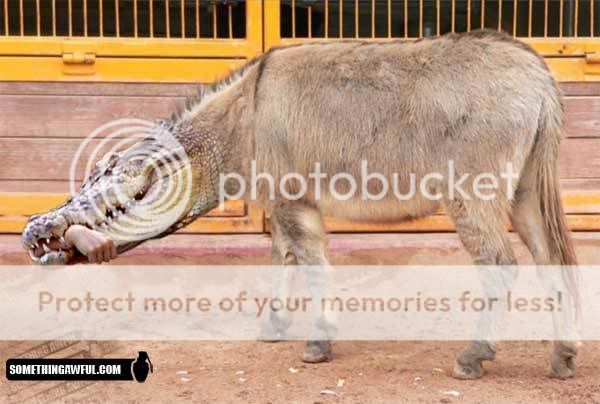 Animal Gene Splicing - The SuperHeroHype Forums