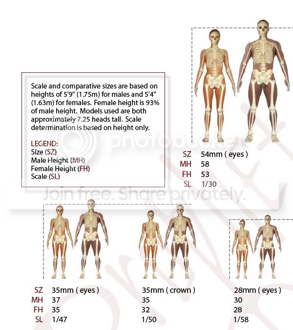 sculpting scale chart - Talk Fantasy Football