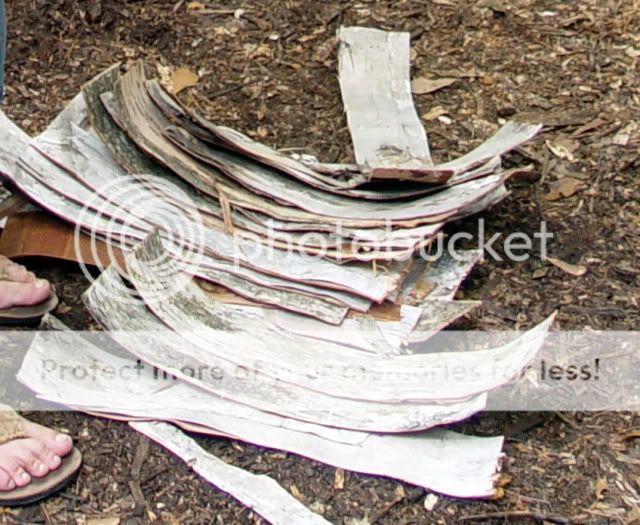 Make a Birch bark Pouch | BladeForums.com