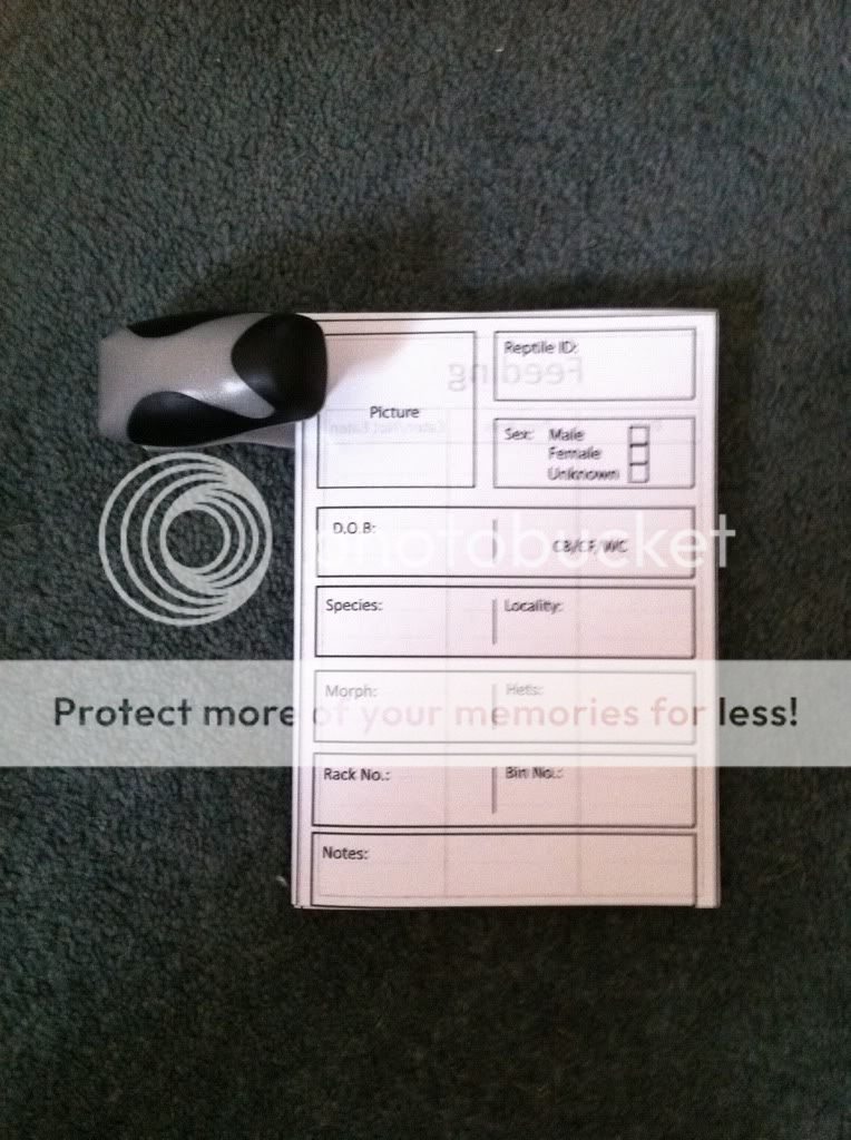 Record Card/Booklets | Reptile Forums