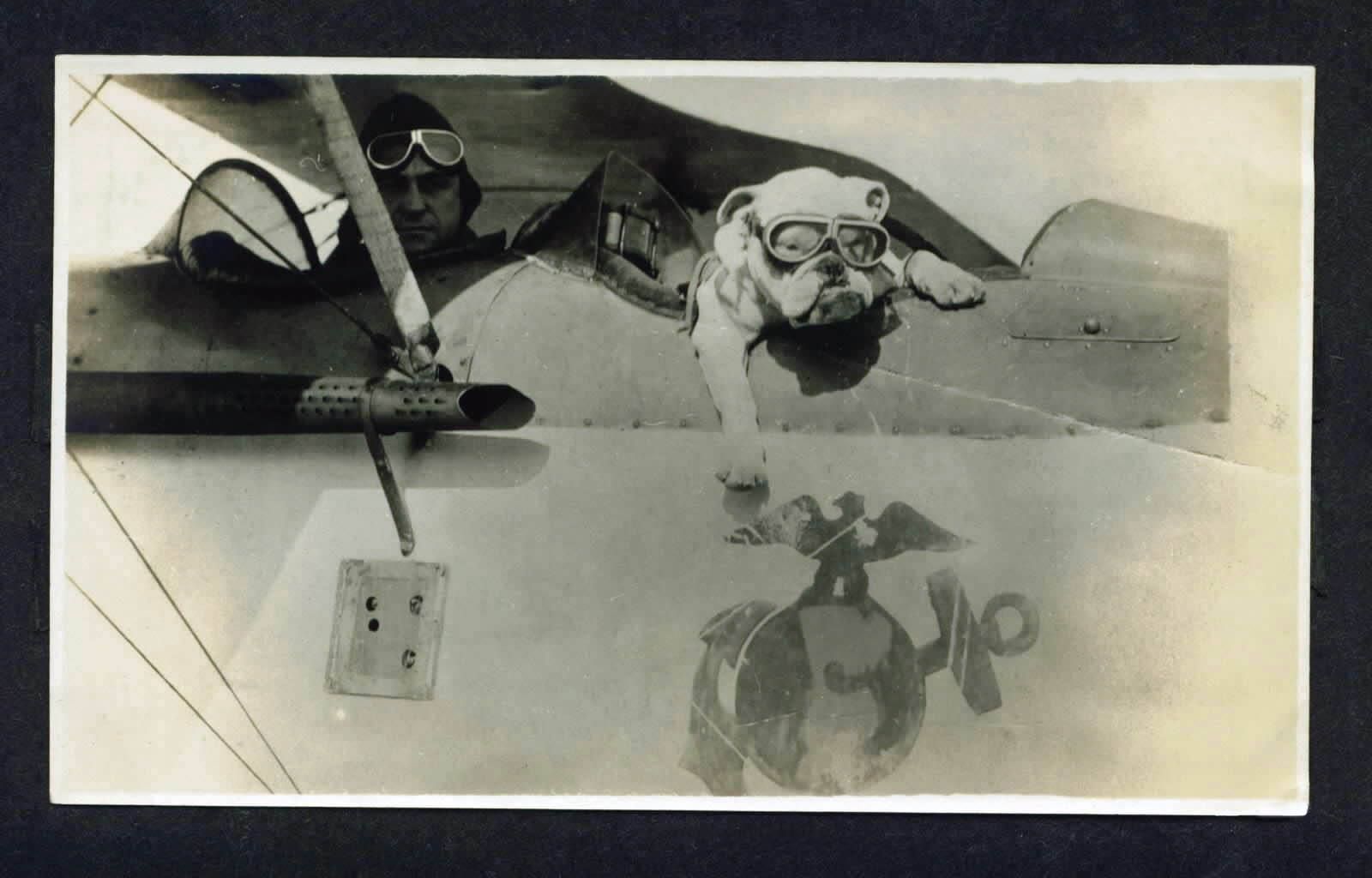 Wicked WWI plane picture. > General Discussion > AR15.COM