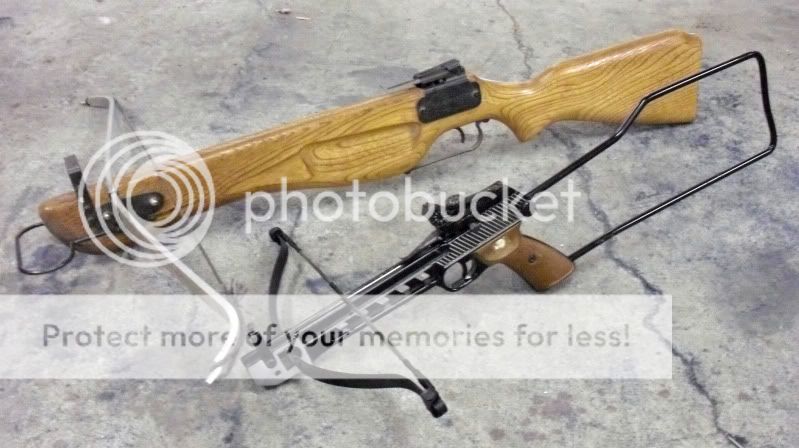 Crossbow Fishing | Crossbow Nation