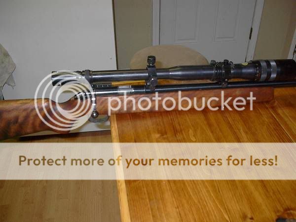 Economic H&R M12 Sight or Scope Options | Rimfire Central Firearm Forum