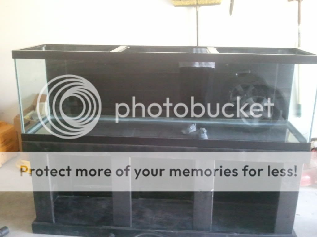 Redearslider.com :: View topic - POST YOUR BASKING AREA PICTURES HERE