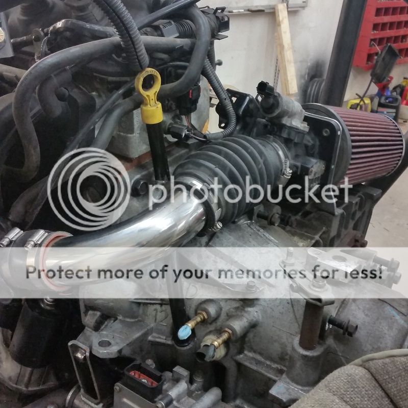 neon transaxle buggy | Pirate 4x4