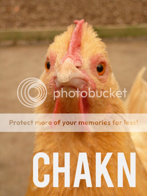 Hurricane Sandy - Page 46 - NASIOC