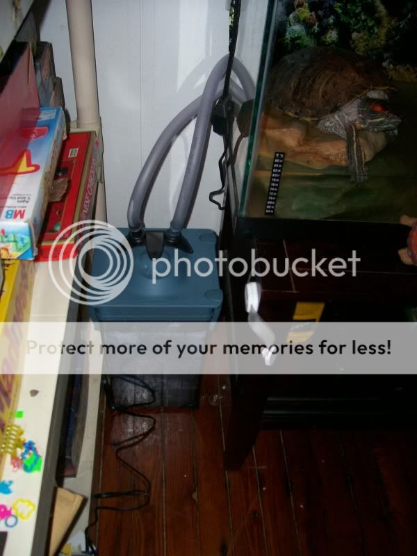 Redearslider.com :: View topic - Can't prime Rena xp3 filter?