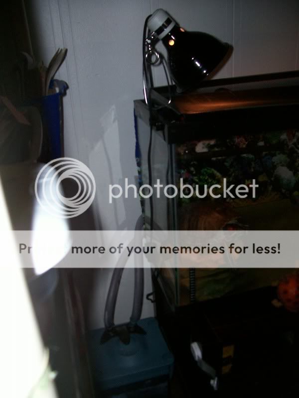 Redearslider.com :: View topic - Can't prime Rena xp3 filter?