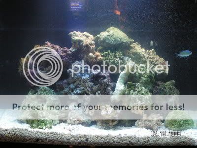 24g Aqua Pod up and running... | The Reef Tank