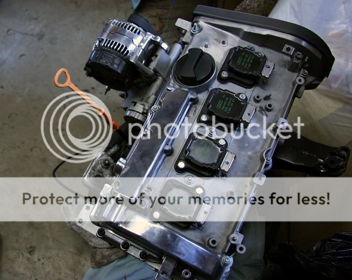 asdfdsa | VW Vortex - Volkswagen Forum