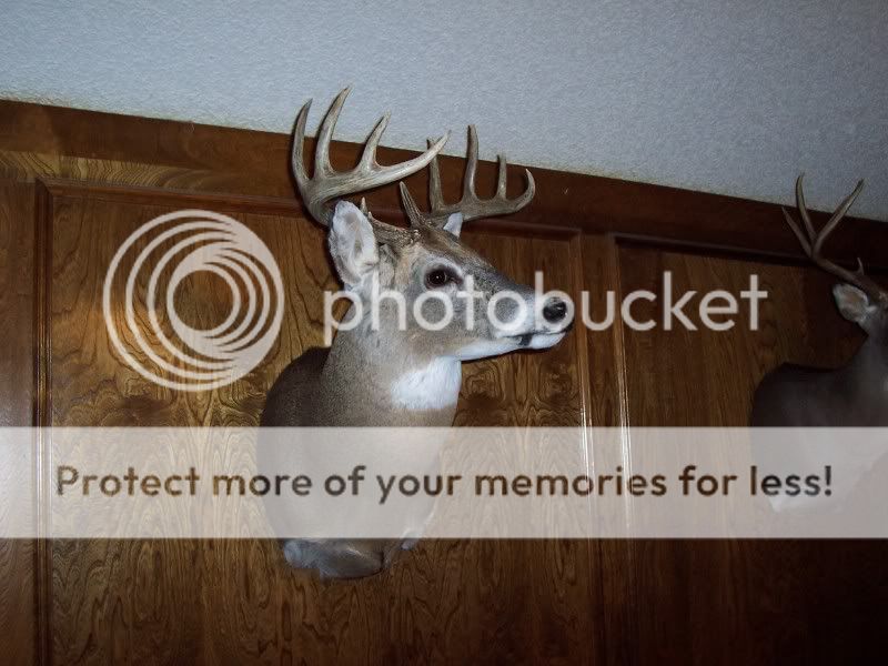 Lake Meredith 2010 | TexAgs