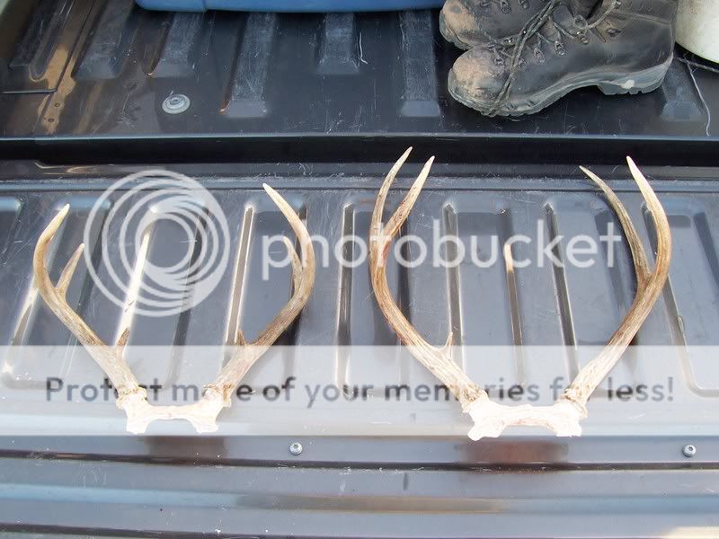 Lake Meredith Report | TexAgs