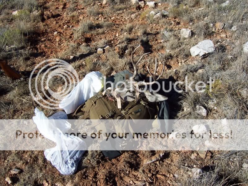 Best way to hang and process a deer in the woods? > Deer Hunting > AR15.COM