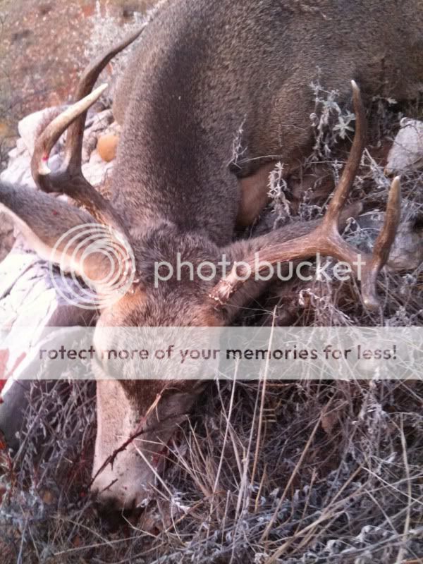 Lake Meredith 2010 | TexAgs