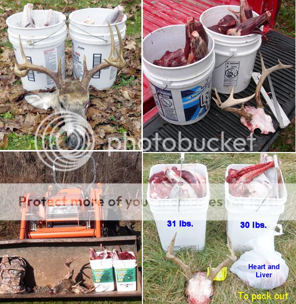Quartering and packing out deer meat. | The HuntingPA.com Outdoor Community
