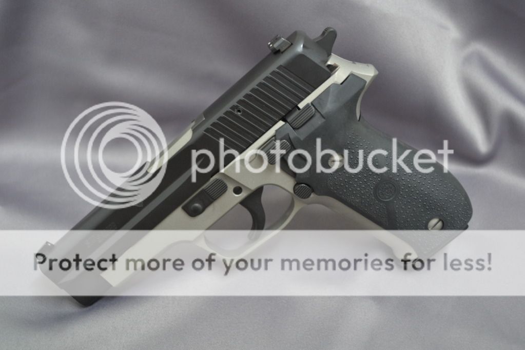 Sig newbie here, introducing myself with a couple of pics | SIG Talk