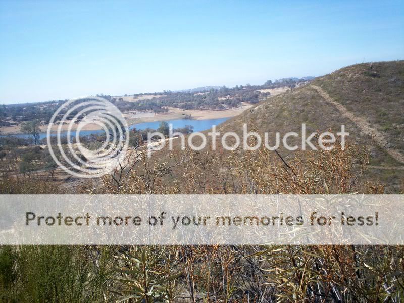 Pics + Video Coyote Point Advanced Trail | Mountain Bike Reviews Forum