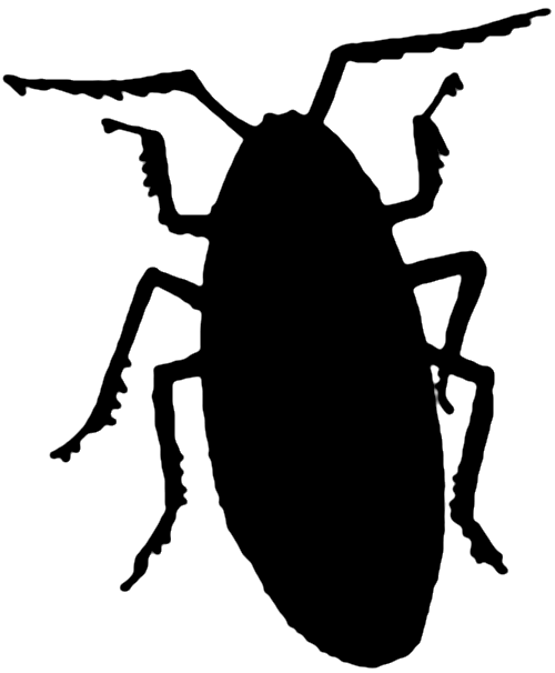 cockroach.gif gif by star_stencils | Photobucket