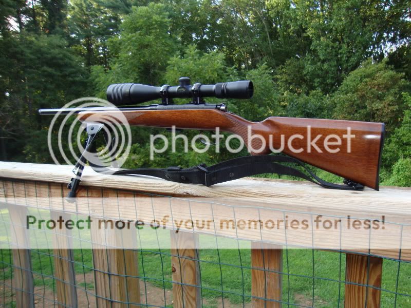 Vortex Viper 6.5-20 vs. Weaver V24? | Rimfire Central Firearm Forum