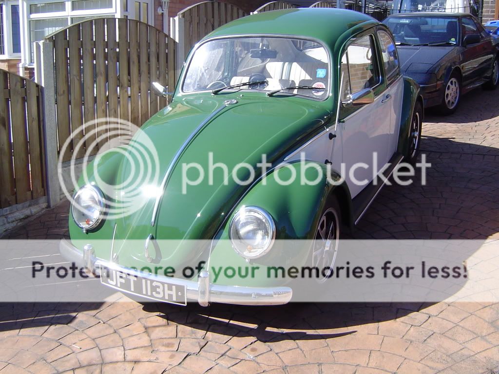 Green beetles | Page 2 | Volkszone Forum
