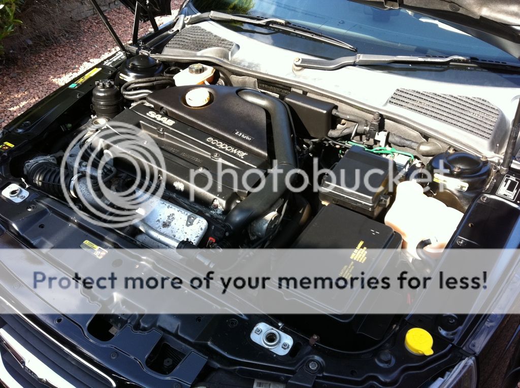 post a pic of your engine bays :) | Detailing World Forum
