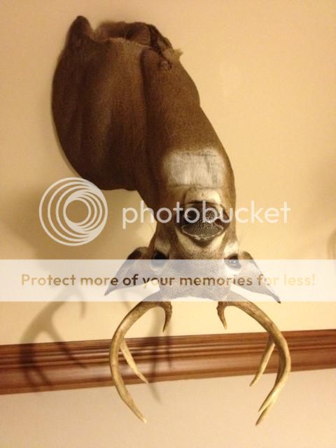 Mckenzie 6900 form | The HuntingPA.com Outdoor Community