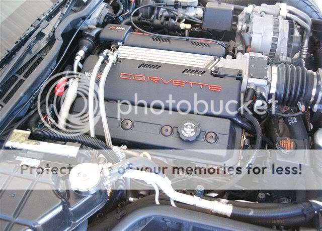 Engine Decals - CorvetteForum - Chevrolet Corvette Forum Discussion