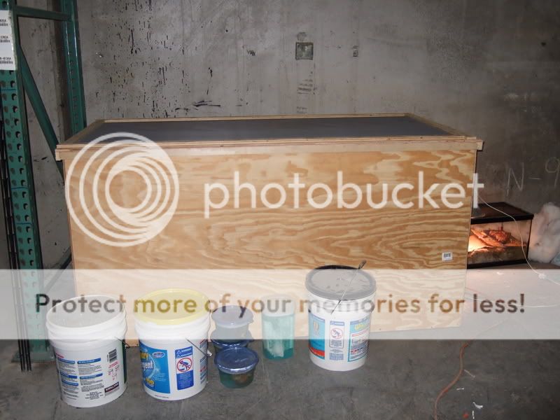 new beetle enclosure | Bloodydecks