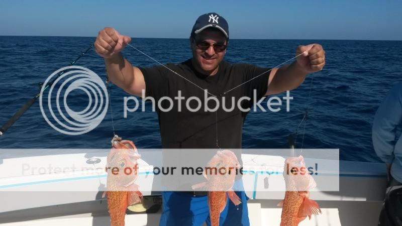 1st Annual ARFCOM / New York HTF Florida Keys Fishing Safari 2014 AAR ...