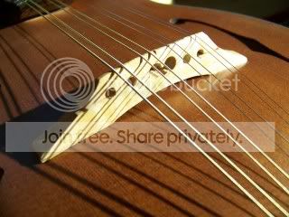 Installing a cast mandolin tailpiece: DONE, with pics - Trad Strings ...