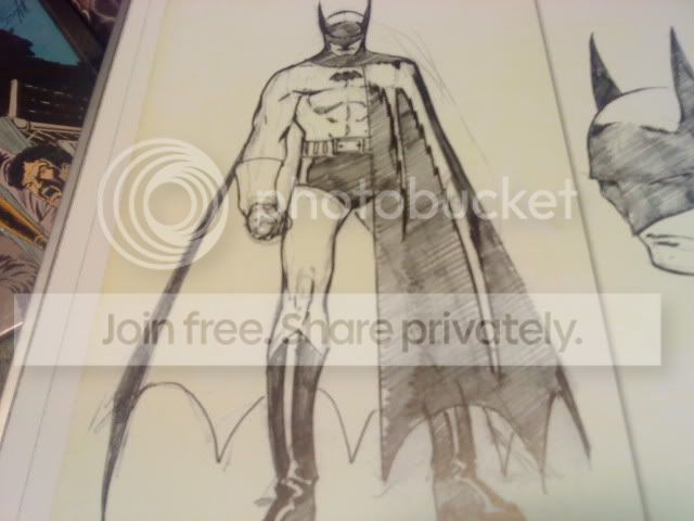 The Batman Files | The SuperHeroHype Forums
