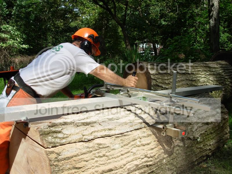Oops! We ran into some problems. | Arborist, Chainsaw & Tree Work Forum
