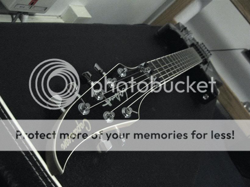 New guitar, Caparison Dellinger CA (Chris Amott) - Electric Guitars ...