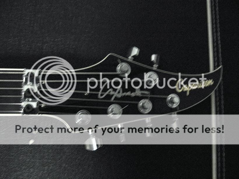 New guitar, Caparison Dellinger CA (Chris Amott) - Electric Guitars ...