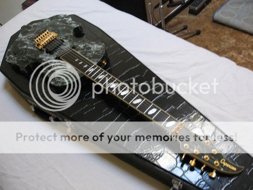 USPS just dropped off another Caparison... - Amps - Harmony Central