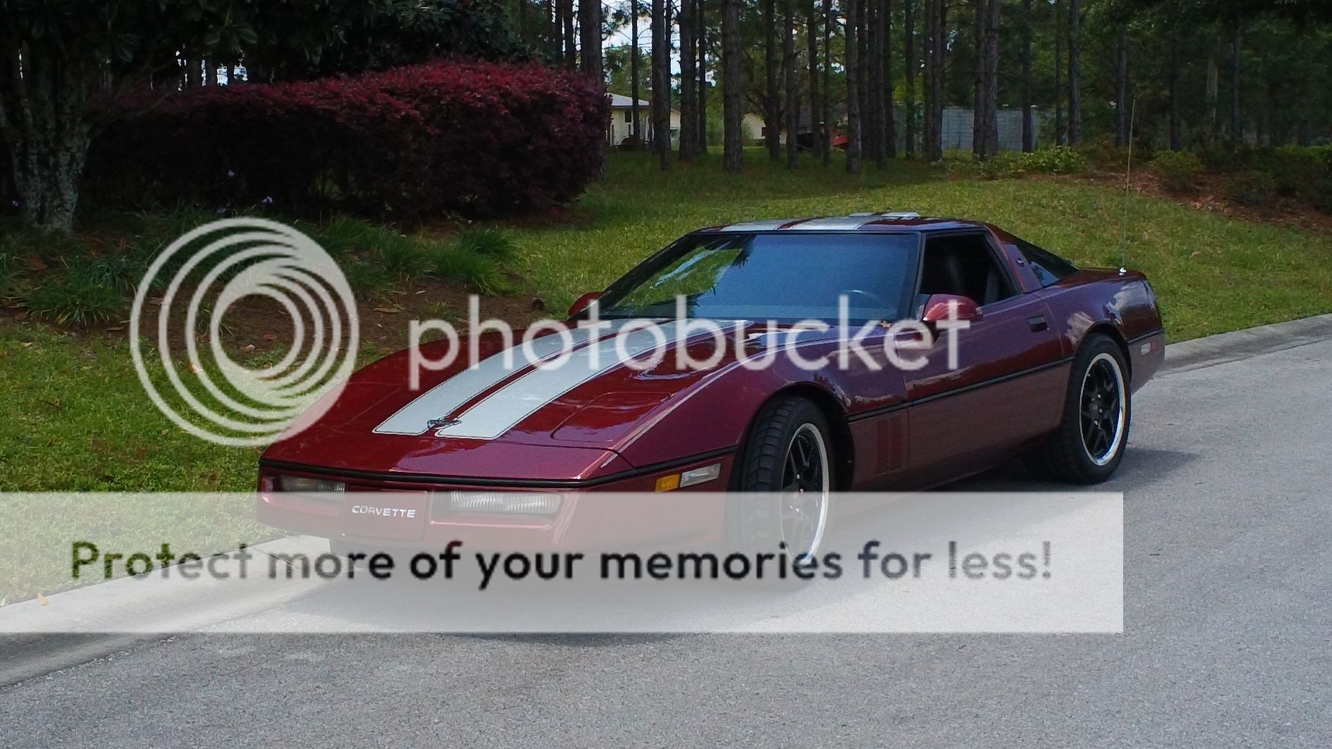 racing stripes????? - CorvetteForum - Chevrolet Corvette Forum Discussion