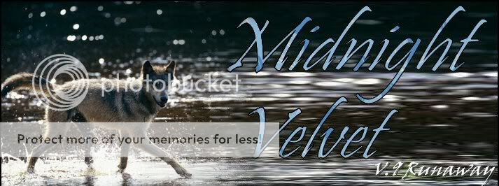 Midnight Velvet's Official Website