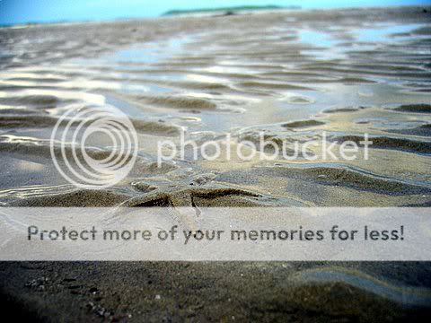 you know that story about the man throwing a starfish back into the sea ...