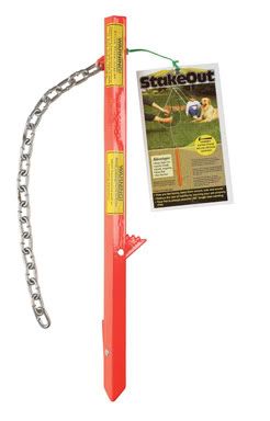 Big Dog Stake