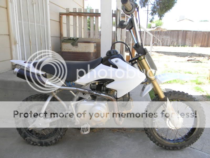 crf50 stock/mod | PlanetMinis Forums