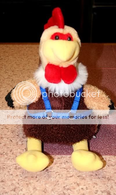 Chicken Harness = Unhappy Chickens | BackYard Chickens - Learn How to ...