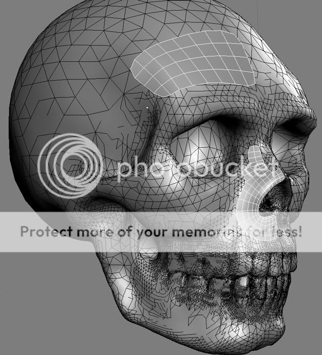 Sculpt Mode Test - Skull - Works in Progress - Blender Artists Community
