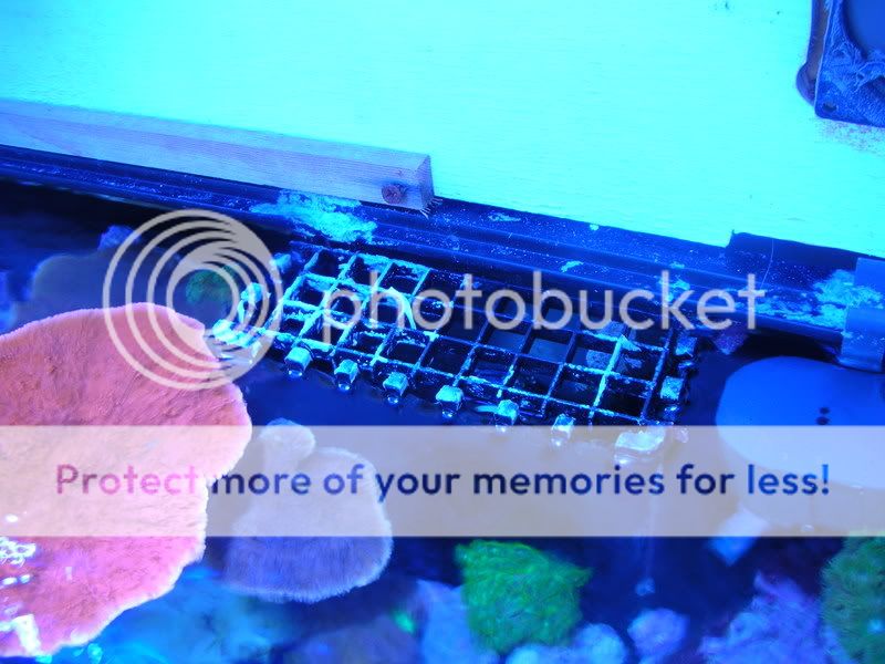 "Free Standing" Internal Acrylic Overflow (?) - Reef Central Online ...
