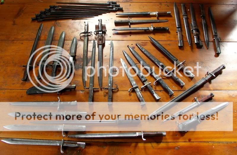 Catalogued my pigstickers, and took a group photo | Gunboards Forums