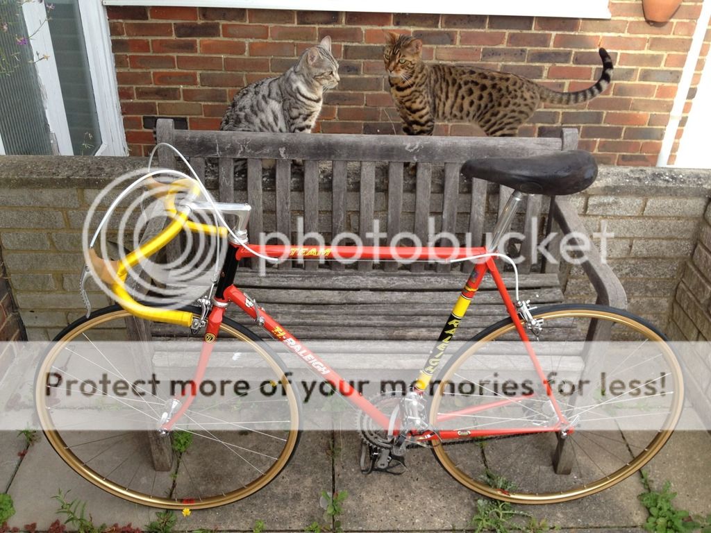 1981 SBDU Raleigh team Ti 753 | Retrobike