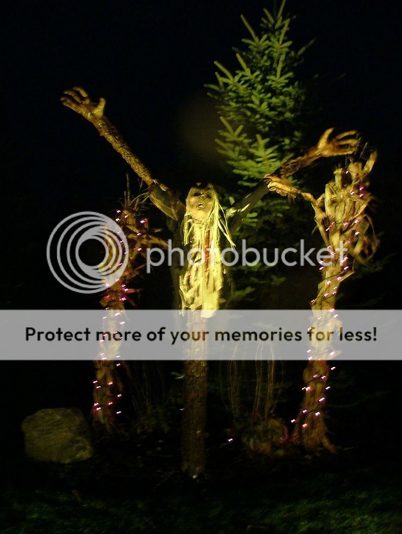 Anybody else building a PUMPKINROT? | Halloween Forum