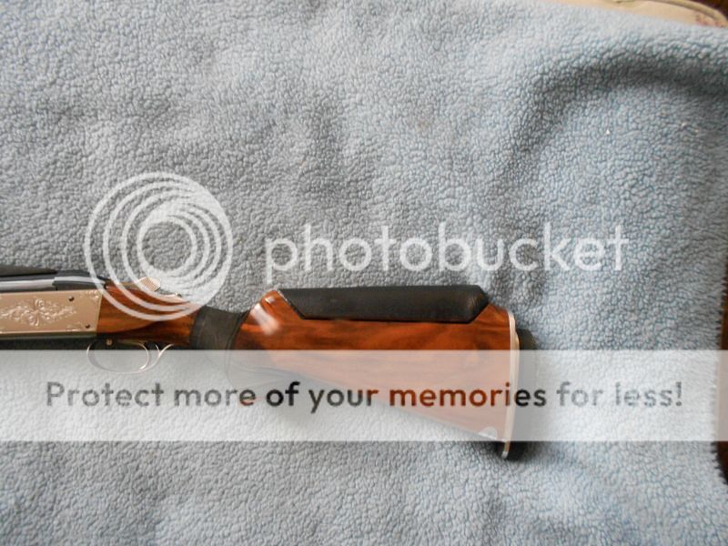 K80 Pro Sporter | Shotgun Forum