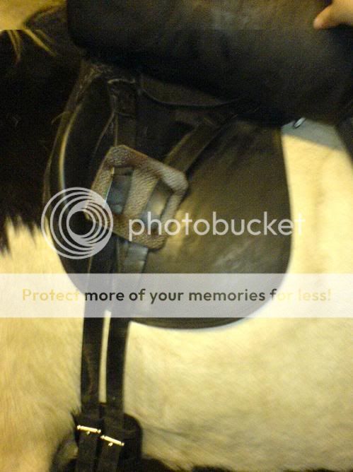 Girth for very foward girth groove? | Horse and Hound Forum