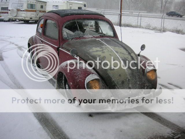 TheSamba.com :: Beetle - 1958-1967 - View topic - what makes a VW a ...