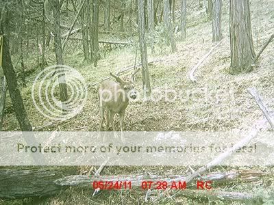 How Big Will He Get? | IFish Fishing Forum